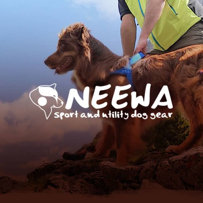How SEO Revolutionized Neewa's Online Reputation And Boosted ROI