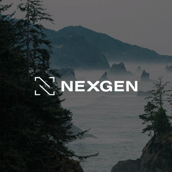 Nexgen, SEO case study.