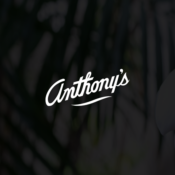 Anthony's Florida, SEO case study. - NPD Global