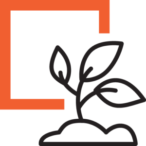 Global award-winning digital marketing agency. NP Digital